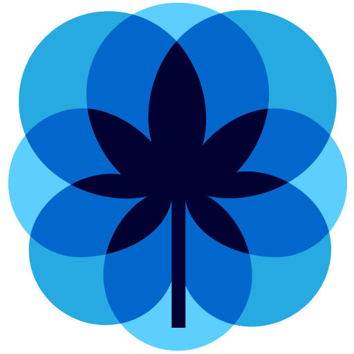 Vape Pens Are The Needle of Weed: A Lawyer's Weed Quitting Journey ...